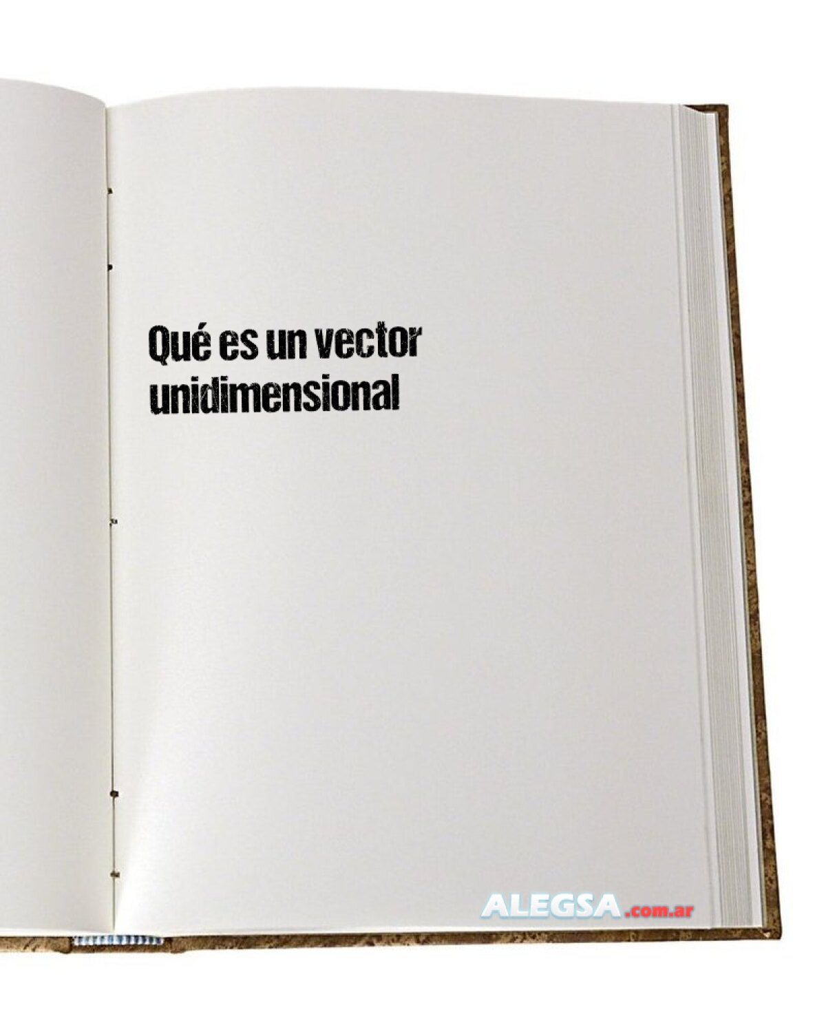 Qué es un vector unidimensional