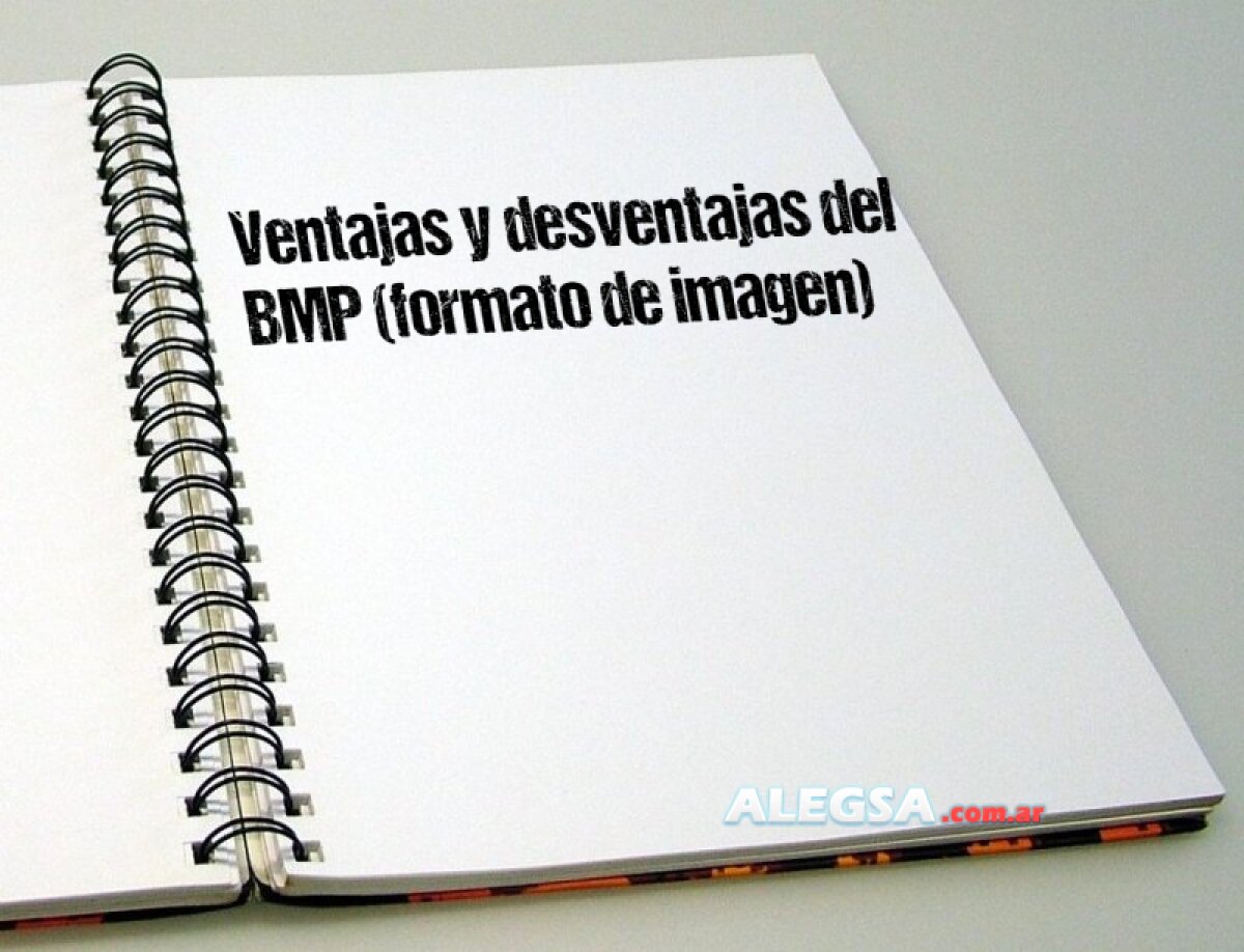 Ventajas y desventajas del BMP (formato de imagen)