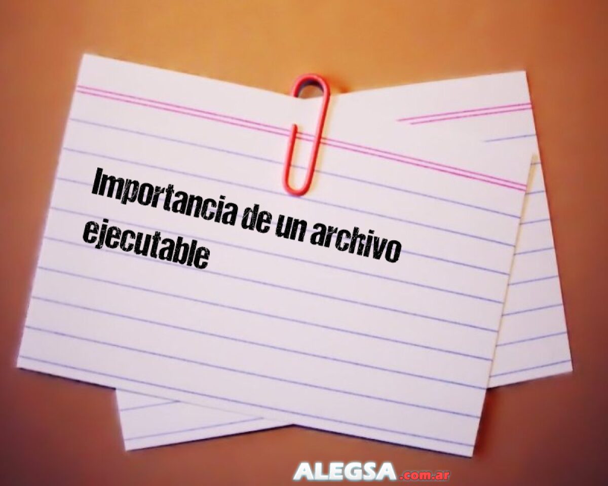 Importancia de un archivo ejecutable