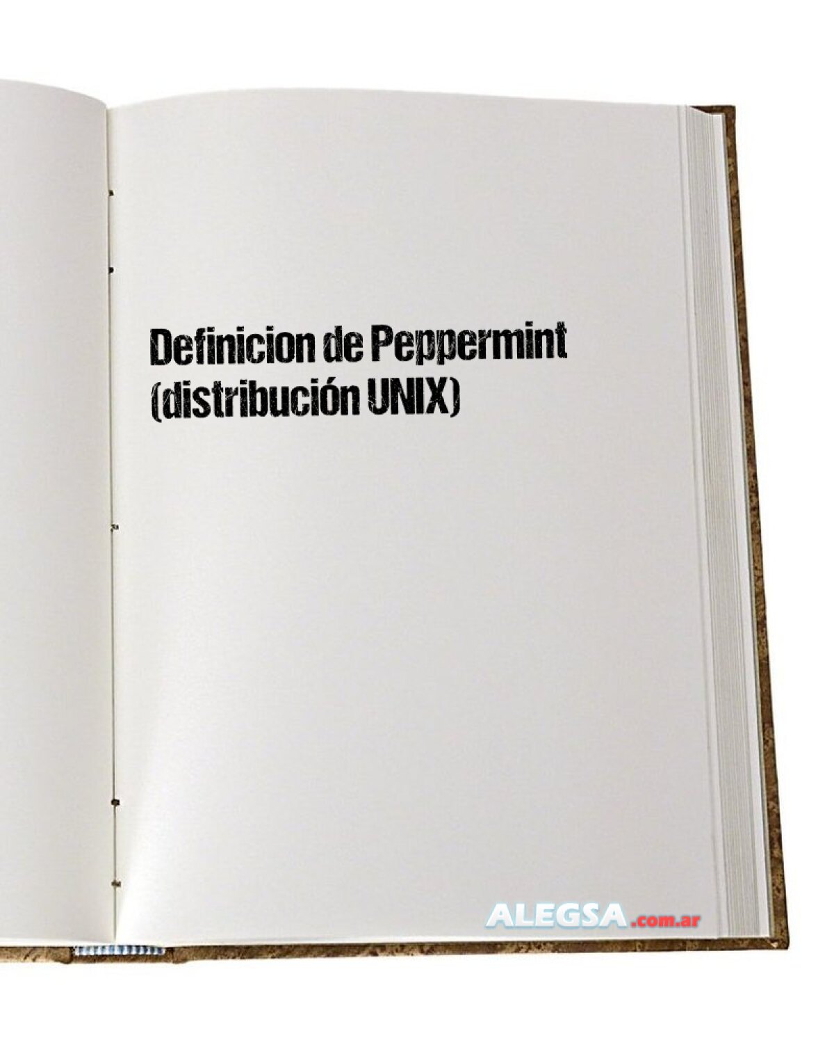 Definición de Peppermint (distribución UNIX)