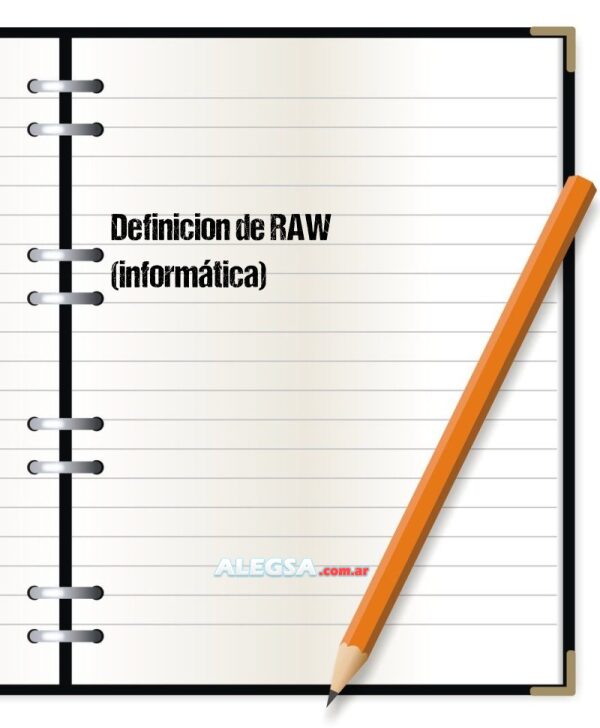 Definici n De RAW inform tica 